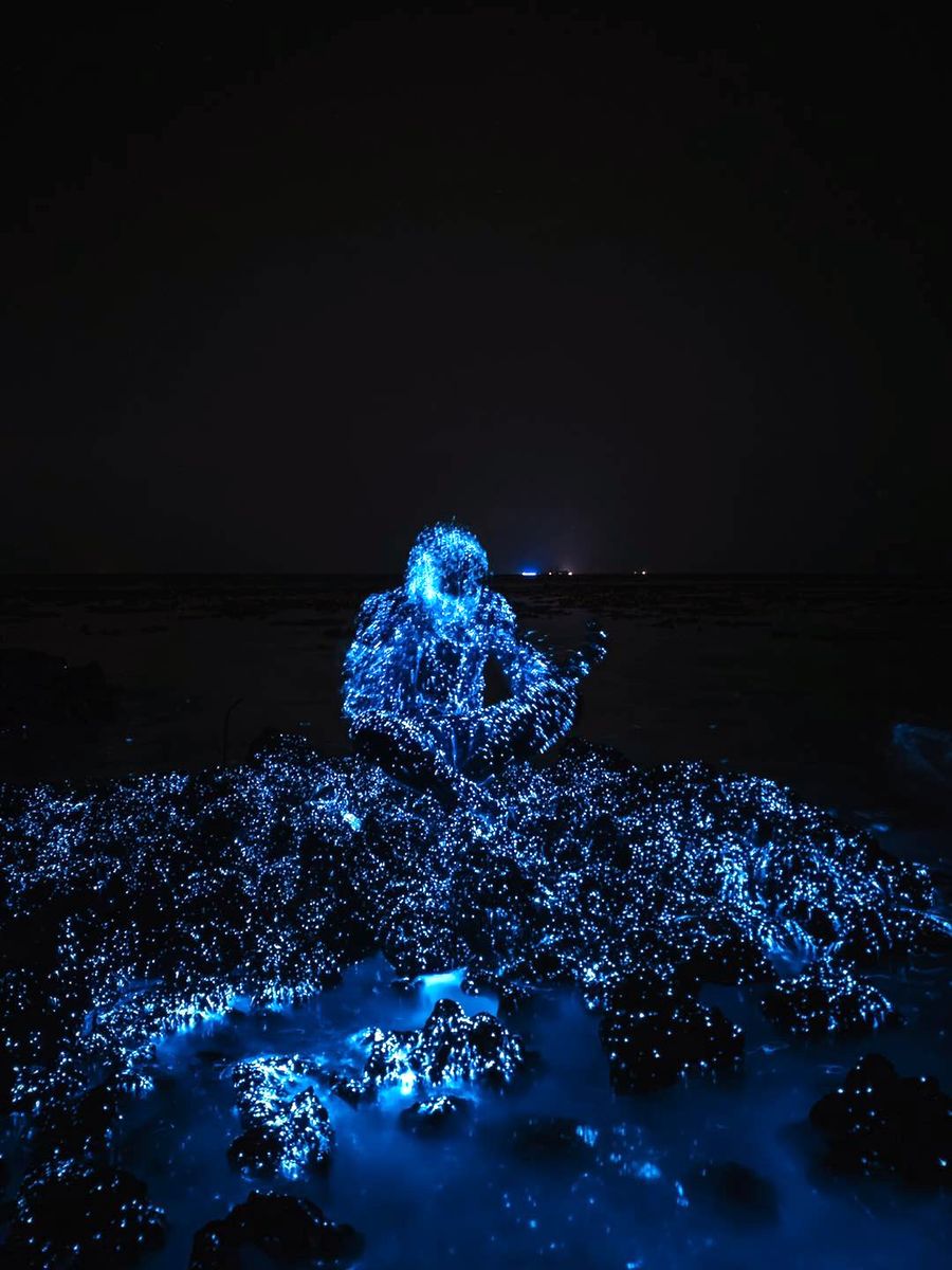 Redhan Man Illuminates Maldives Glowing Beach - A Display of Sea of ...